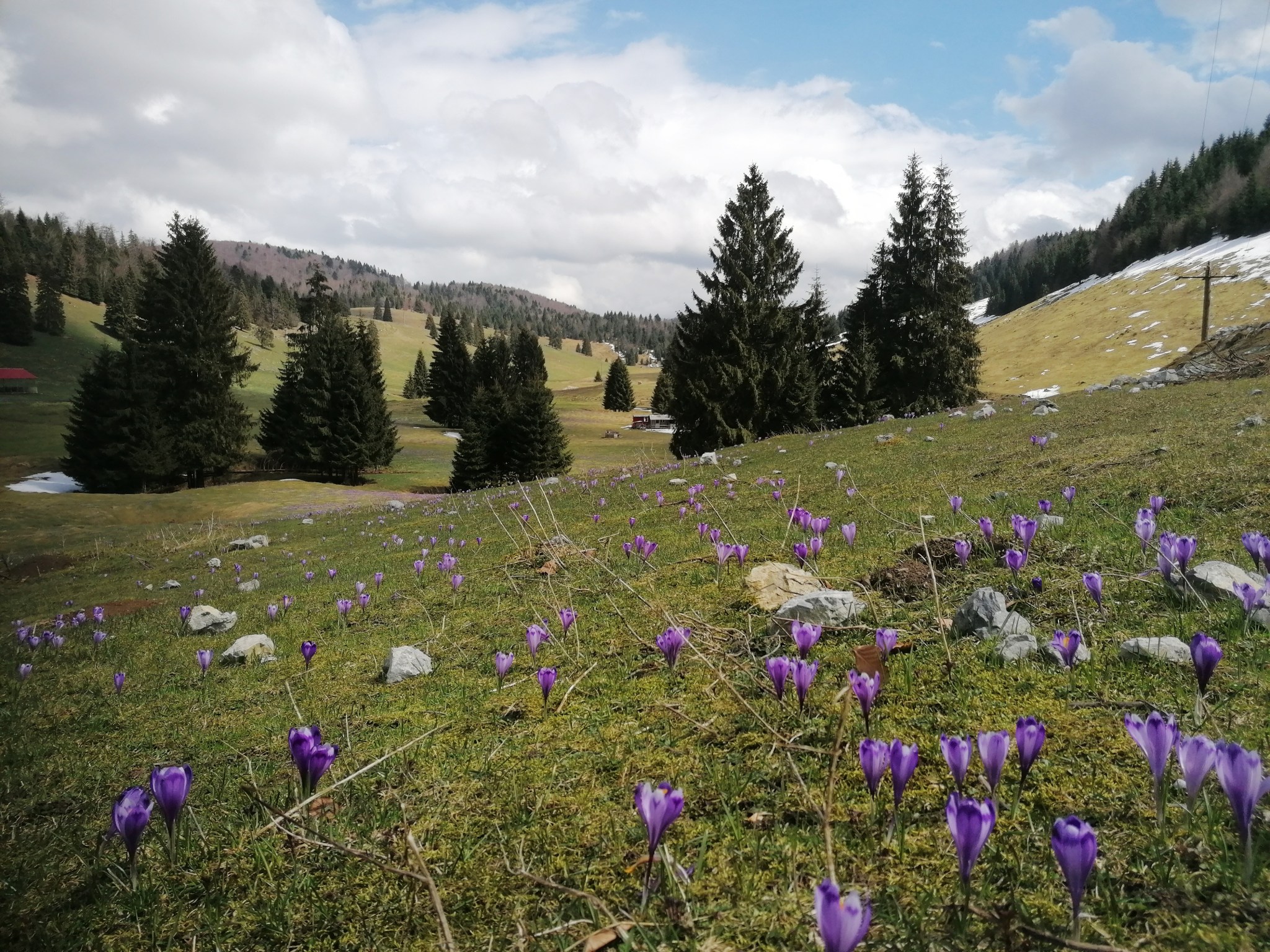 Trasee usoare in zona Padis – Explorand Romania