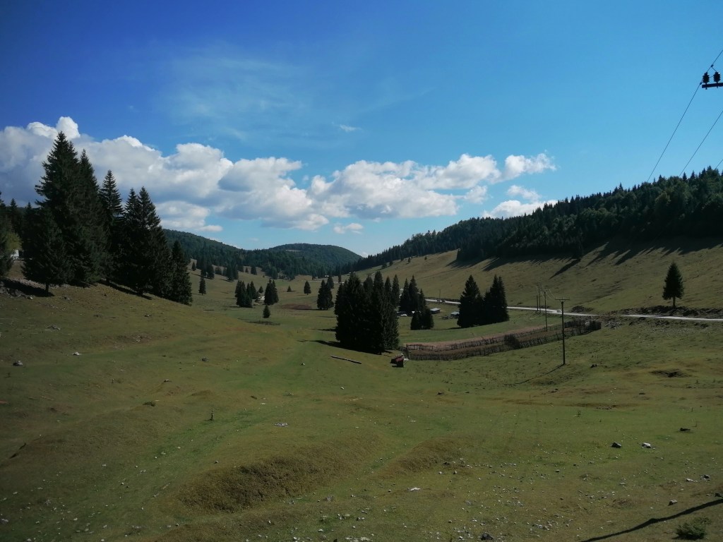 Trasee usoare in zona Padis – Explorand Romania
