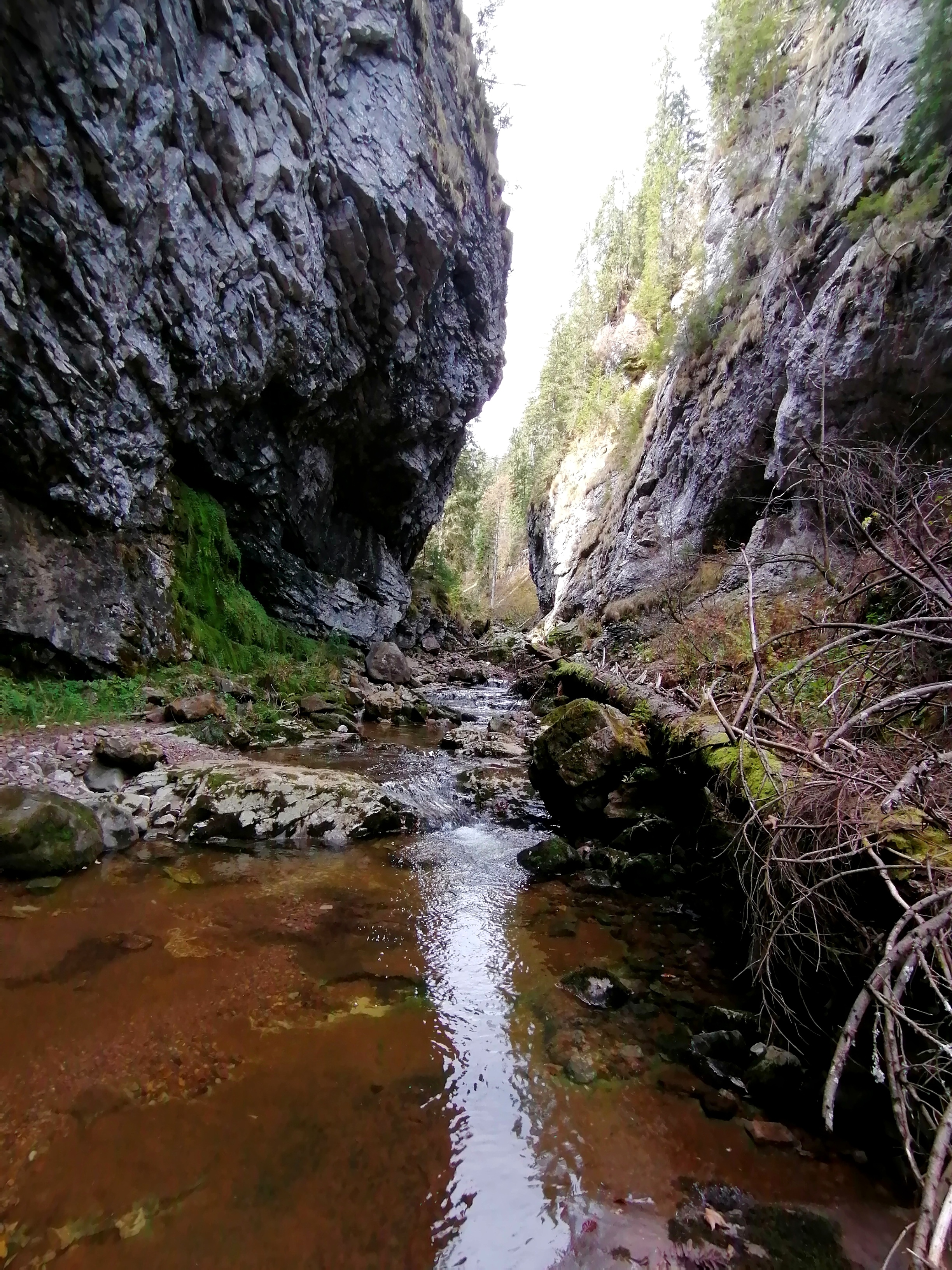Pestera Cetatile Radesei si Cheile Somesului Cald – Explorand Romania