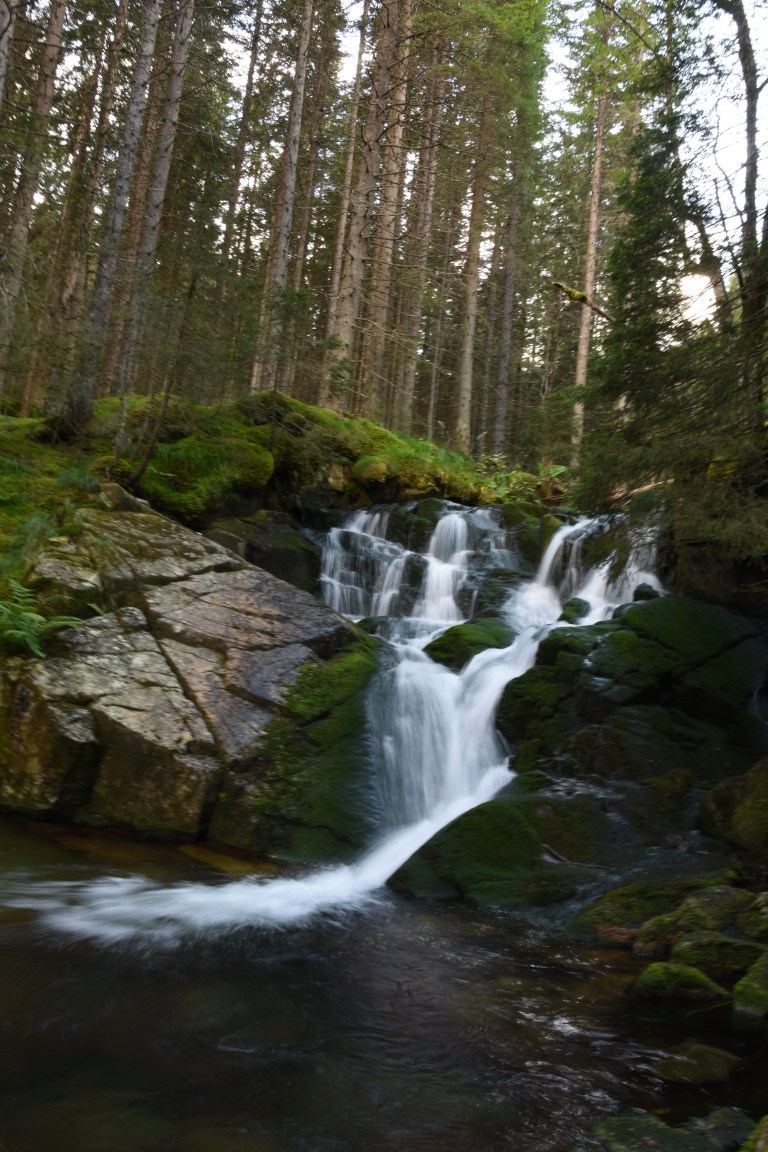 Retezat traseu Carnic – Lacul Gales – Saua Zanoagei -Taurile din Valea ...