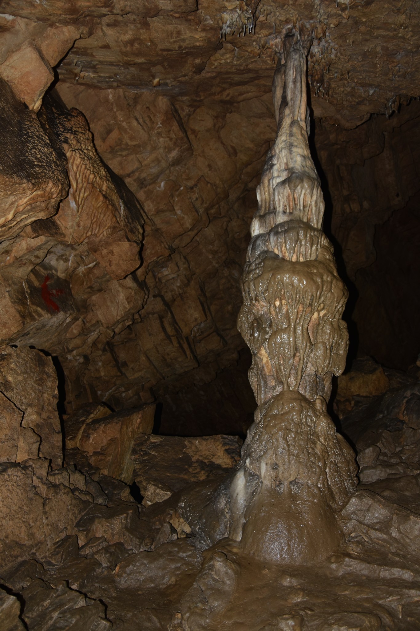 Pestera Comarnic si gigantul Sequoia – Explorand Romania