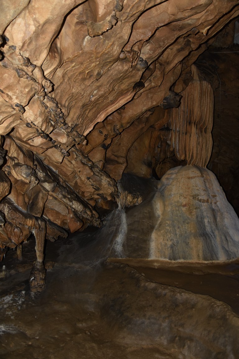 Pestera Comarnic si gigantul Sequoia – Explorand Romania