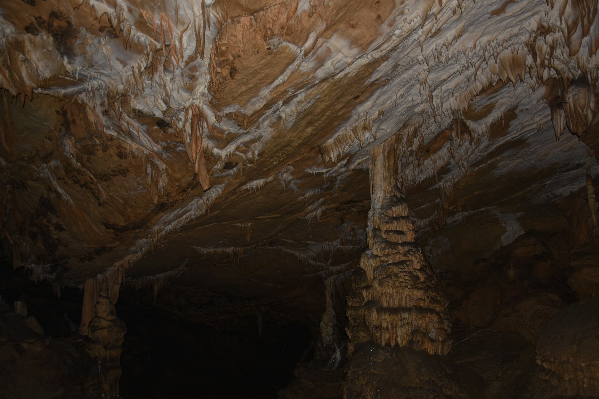 Pestera Comarnic si gigantul Sequoia – Explorand Romania