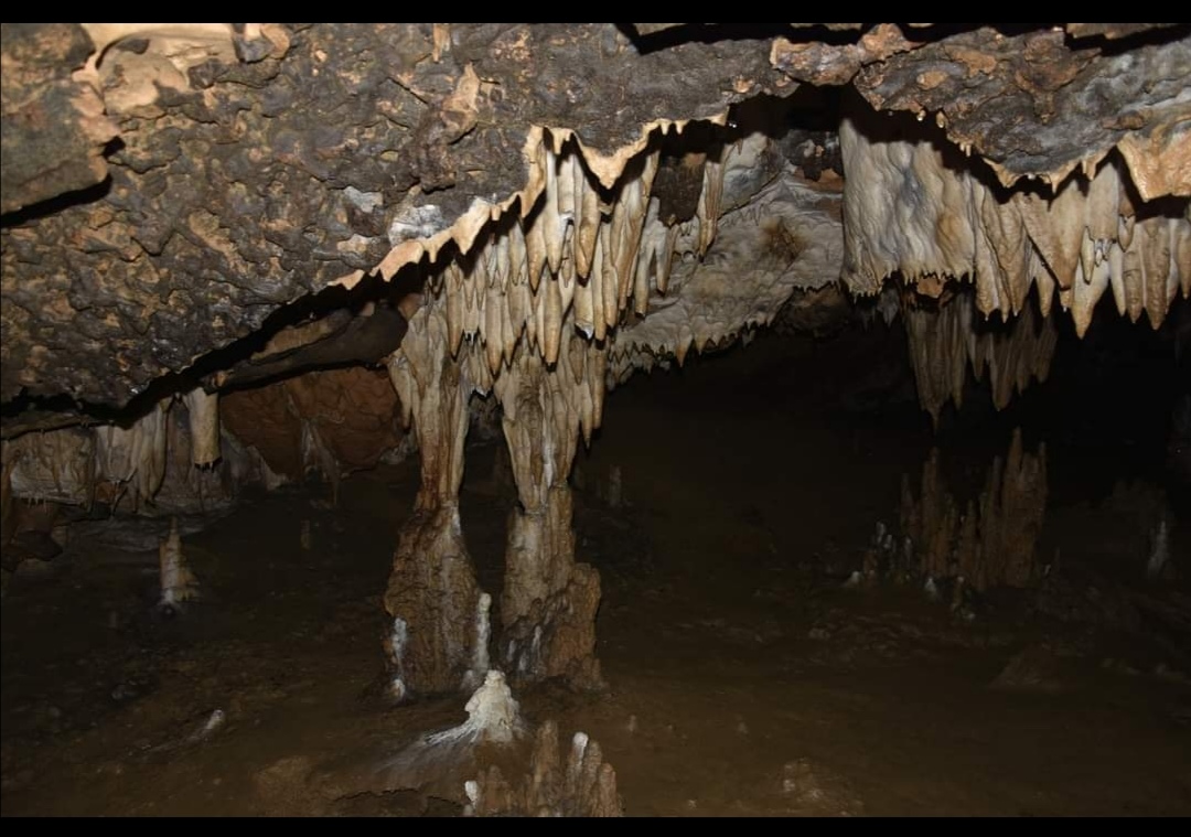 Pestera Comarnic si gigantul Sequoia – Explorand Romania