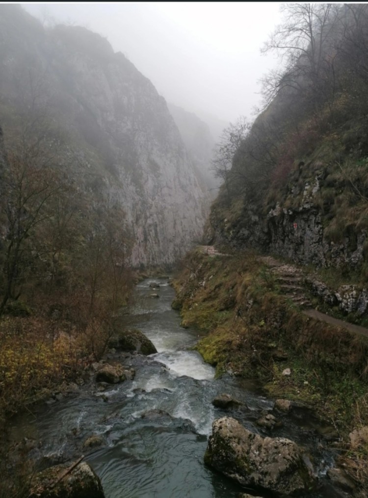 Top 7 trasee usoare si spectaculoase in Muntii Apuseni – Explorand Romania