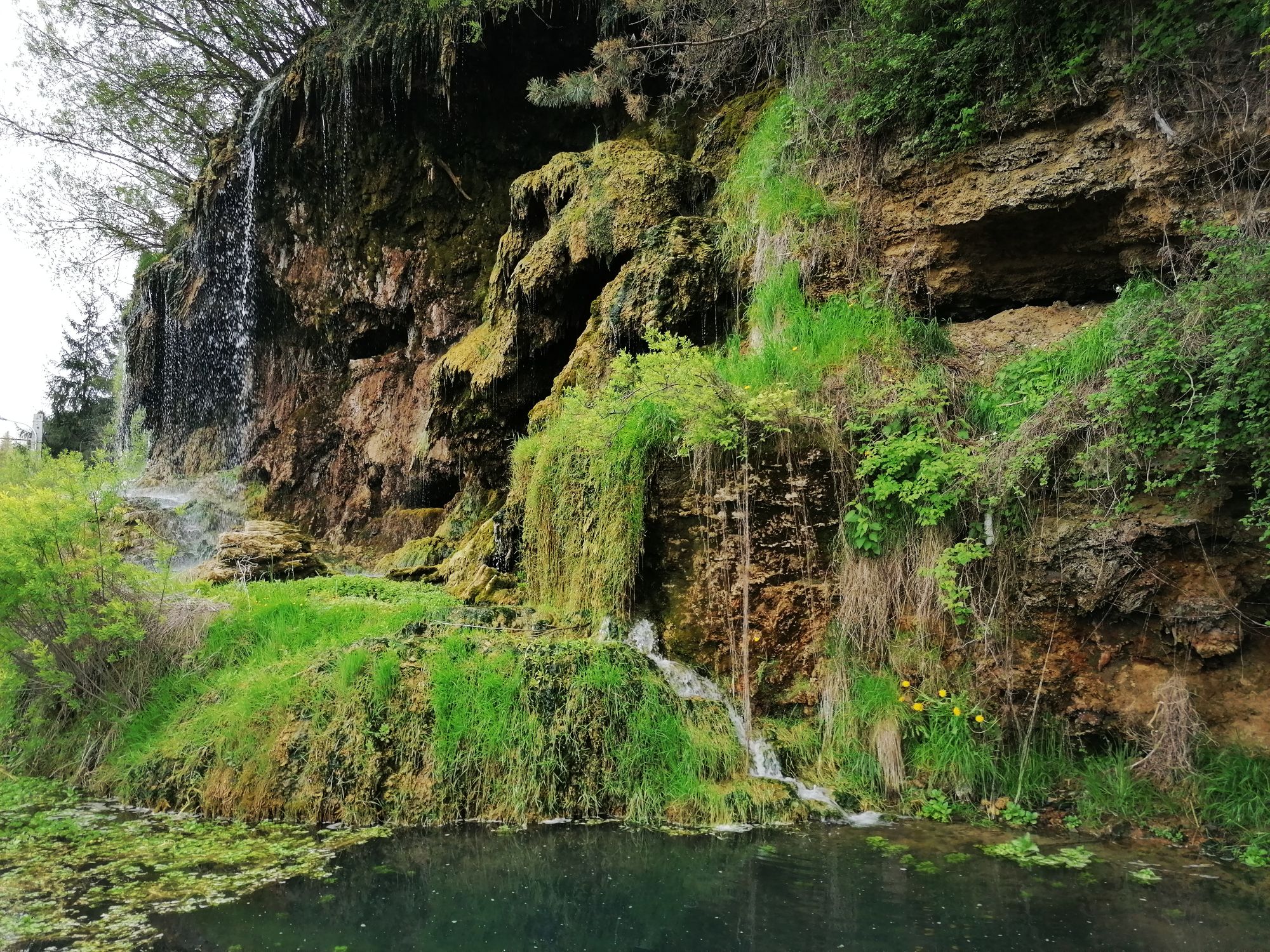 Cascada Toplita si bobul alpin din Toplita – Explorand Romania