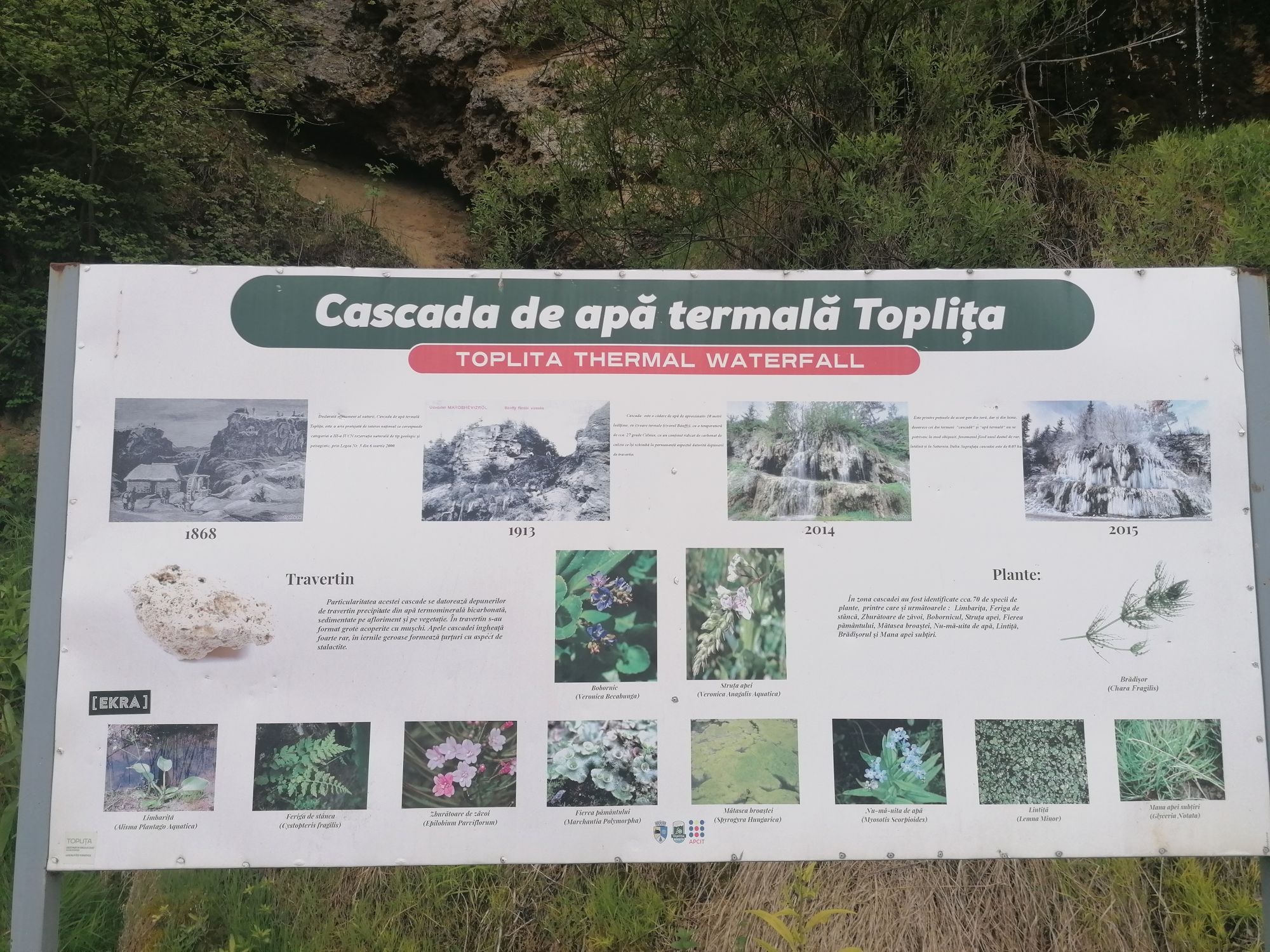 Cascada Toplita si bobul alpin din Toplita – Explorand Romania