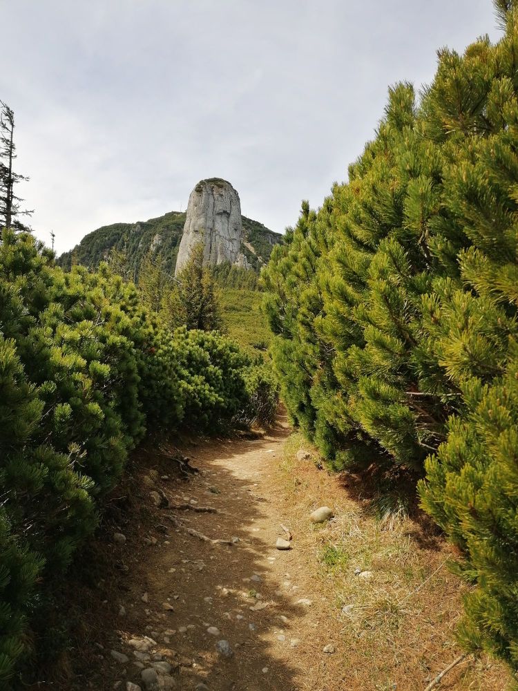 Varful Toaca sau scarile catre rai, drumetie spectaculoasa in Muntii ...