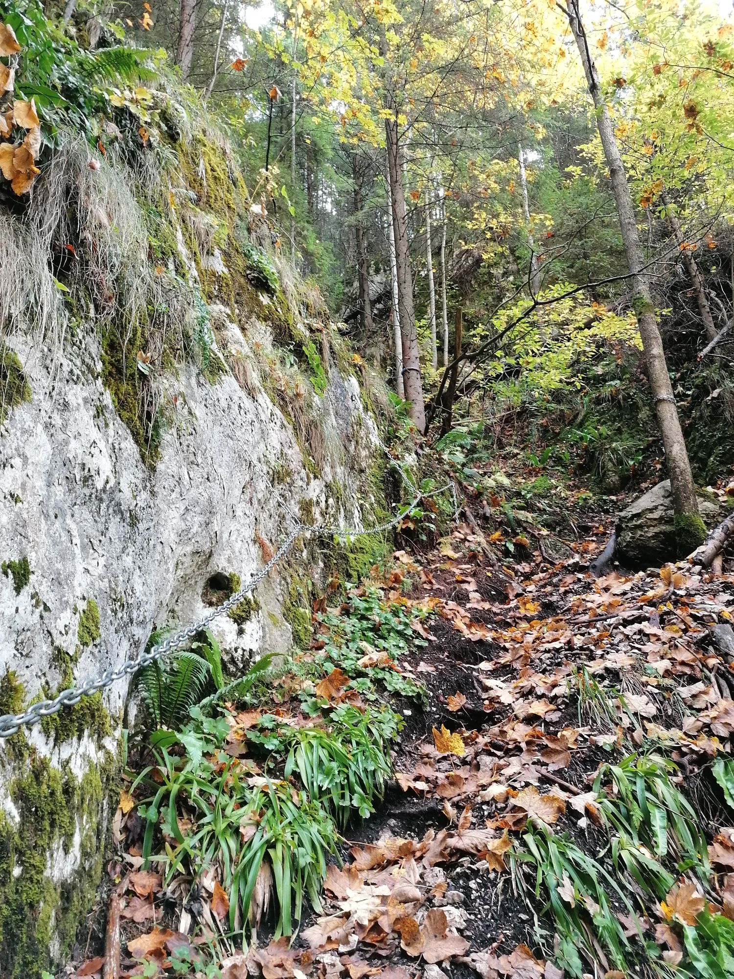 Scocul Urzicarului si podul natural- drumetie superba in Retezatul Mic ...